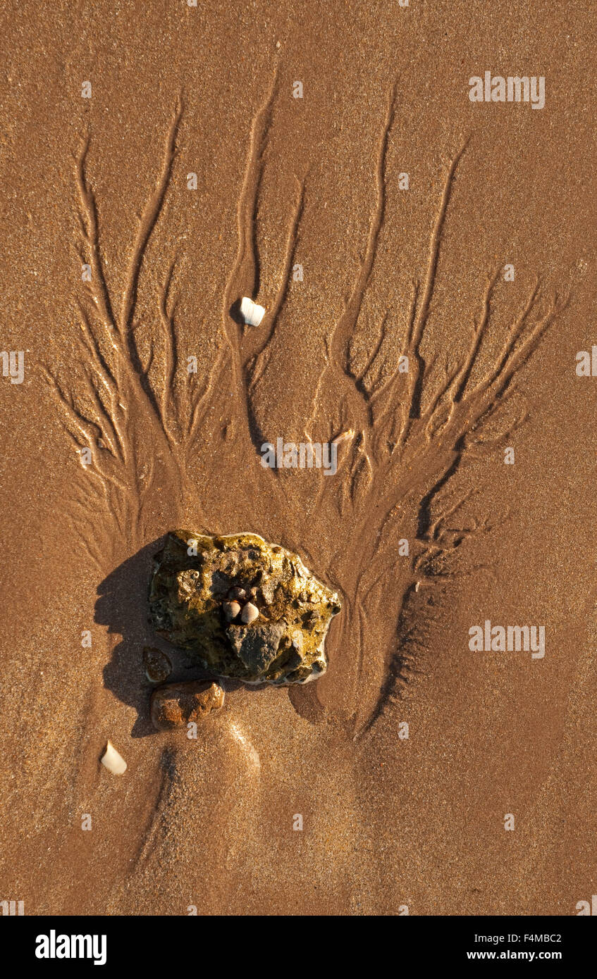 Gullane beach scotland hi-res stock photography and images - Alamy