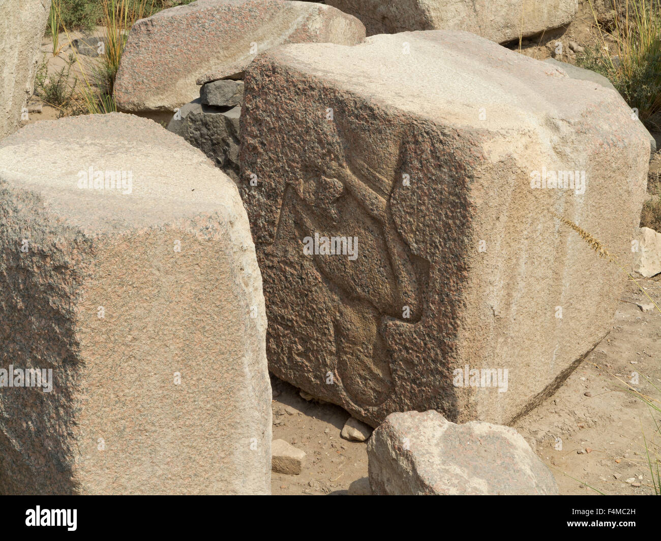The site of ancient Bast, Tell Basta, classical Bubastis southeast of ...