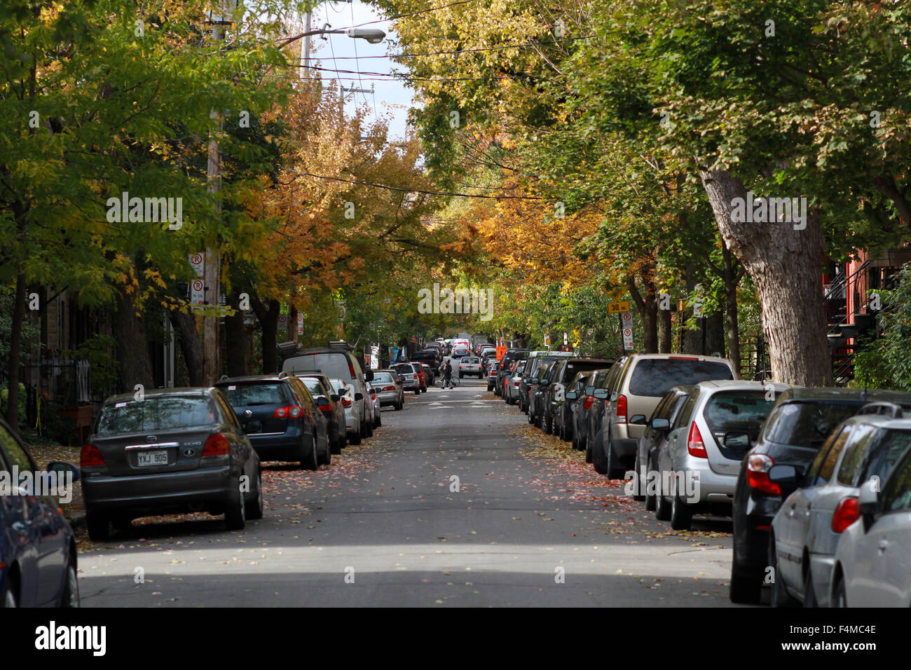 Autumn in the Plateau of Montreal, Quebec Stock Photo - Alamy