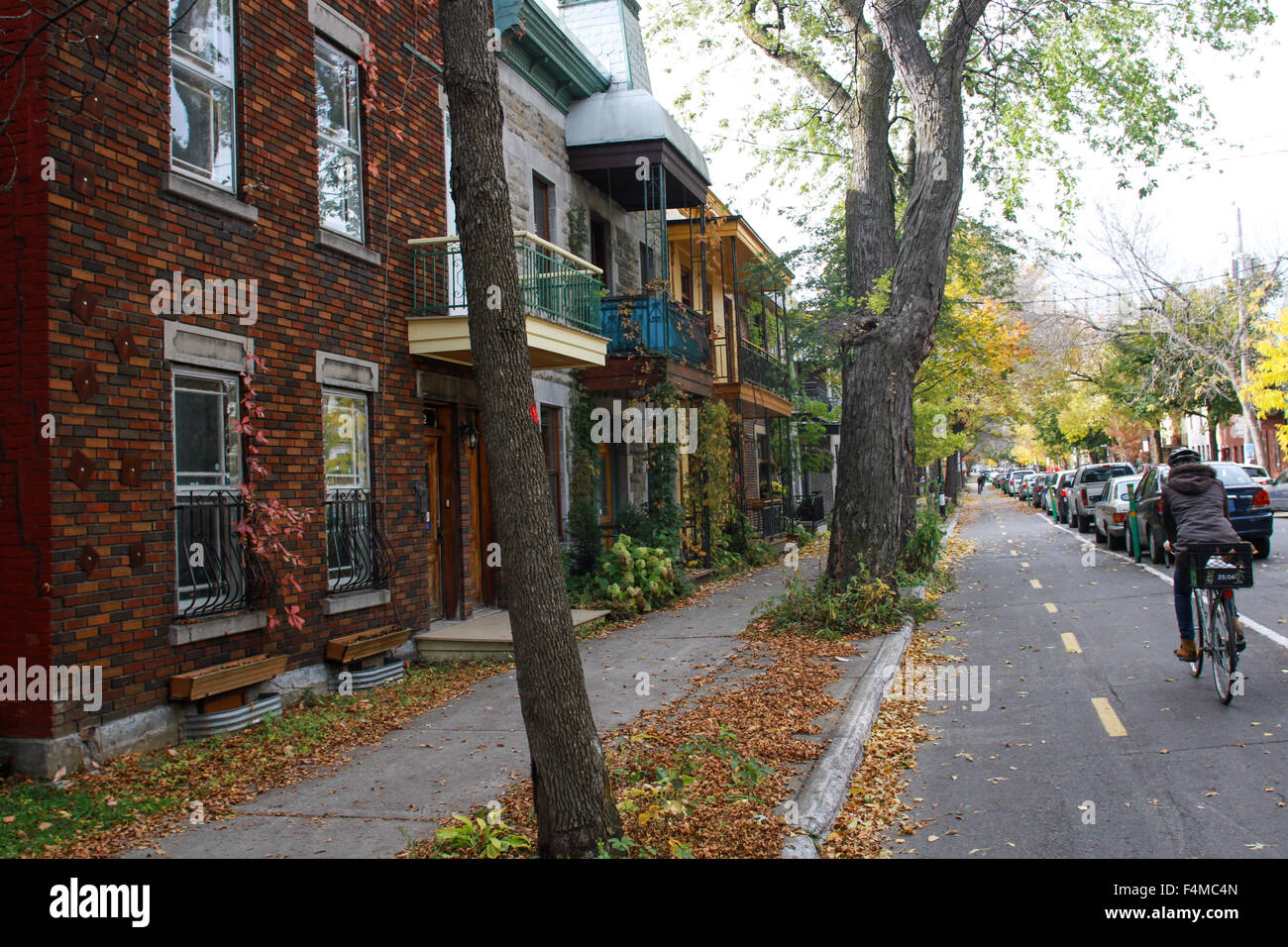 Autumn in the Plateau of Montreal, Quebec Stock Photo - Alamy
