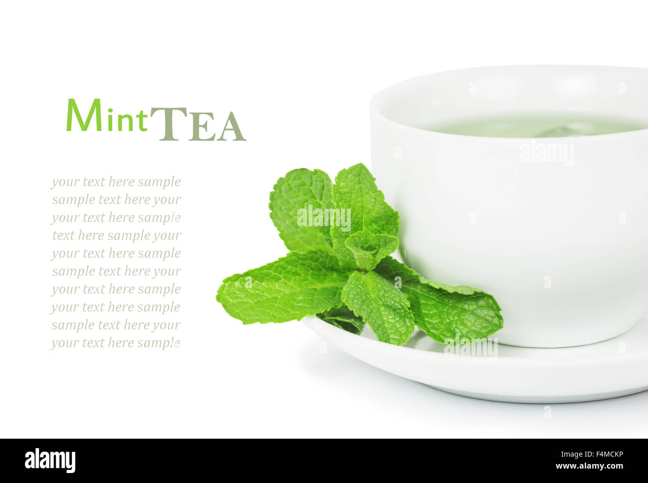 mint tea in white ceramic cup and a sprig of fresh mint and saucer ...