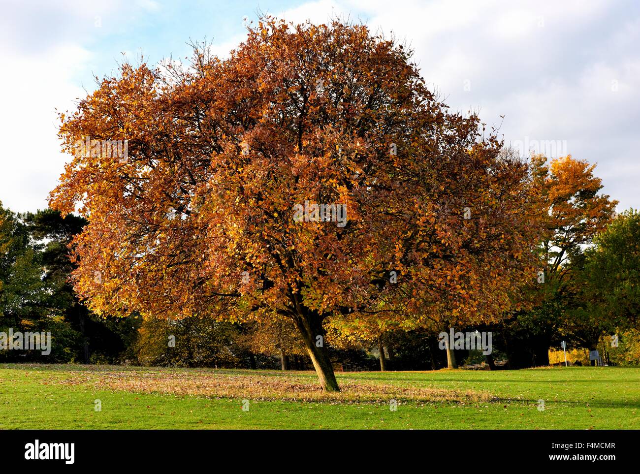 Parks in nottingham hi-res stock photography and images - Alamy