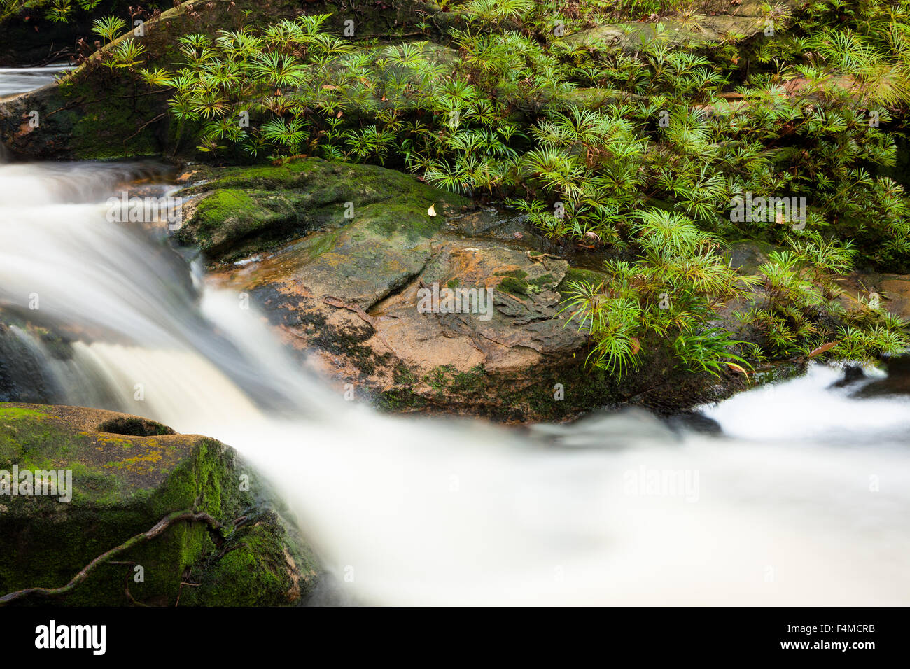 Stream fresh calm rock formation hi-res stock photography and images ...