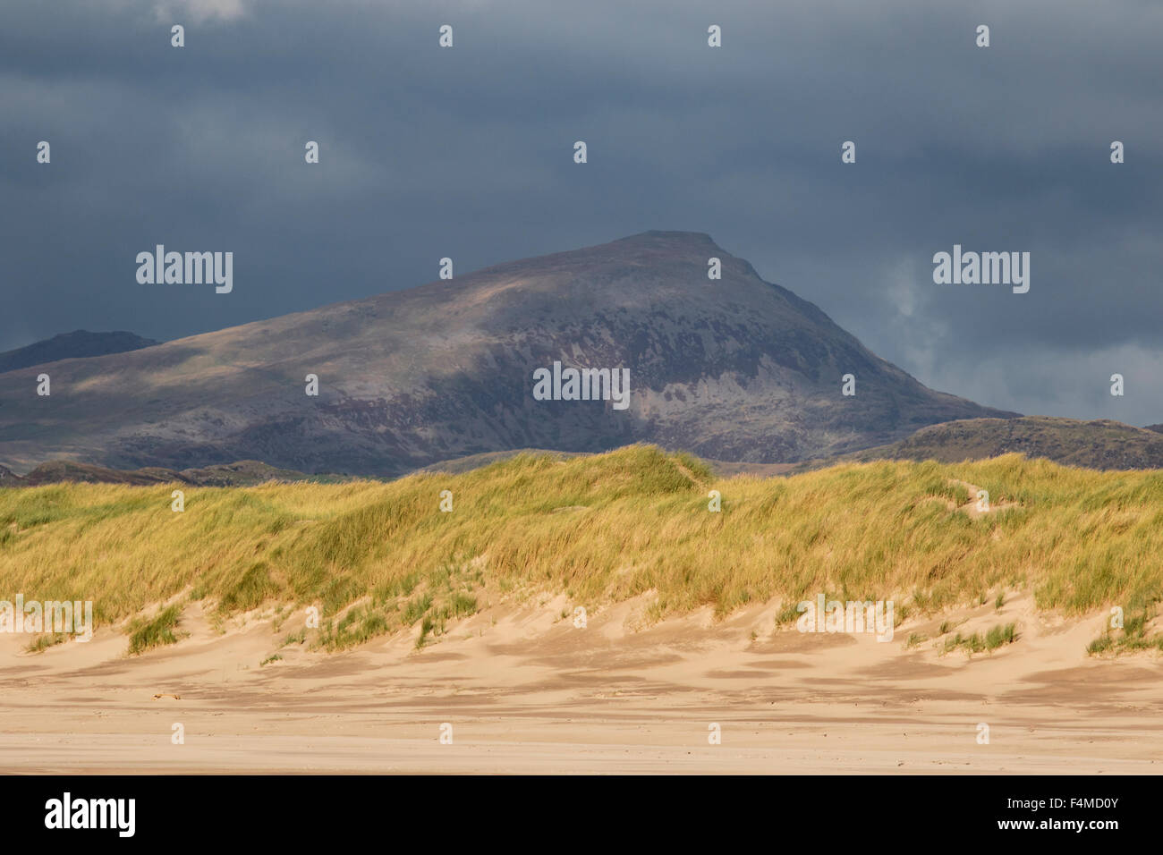 Harlech beach sand dunes harlech hi-res stock photography and images ...
