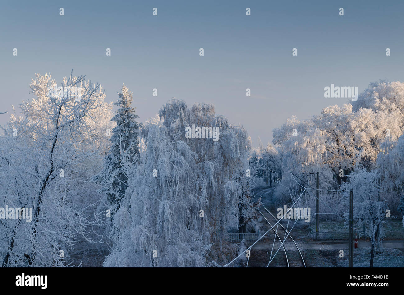 Mystical mystic winter hi-res stock photography and images - Alamy
