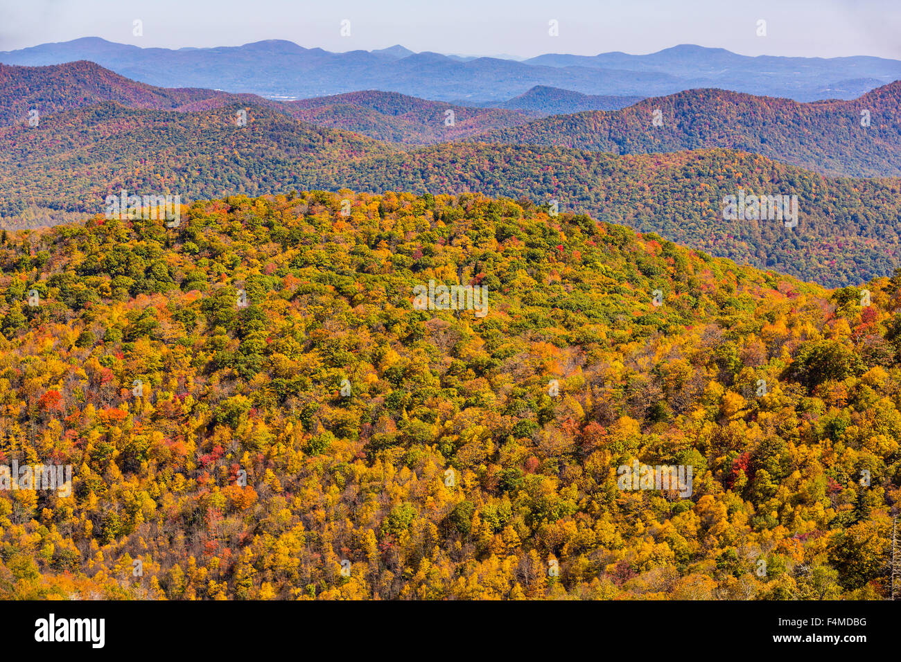 Autumn foliage in Blue Ridge National Park from Pounding Mill Overlook ...