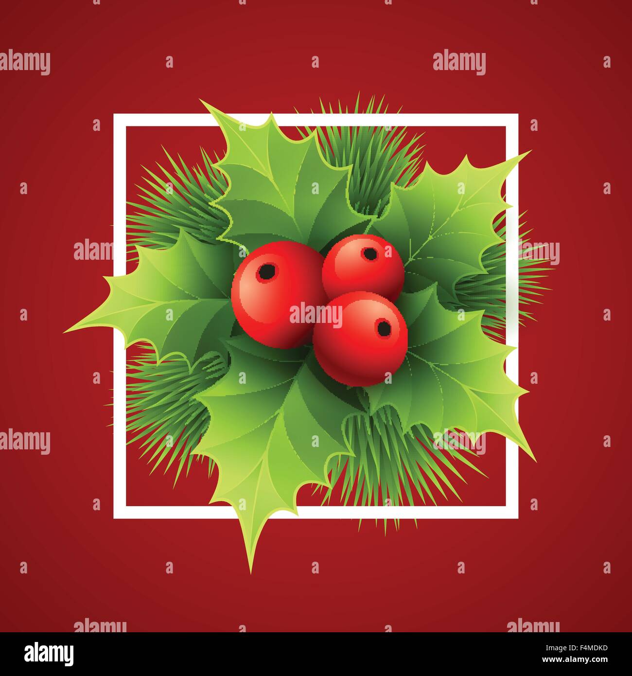 Vector Christmas holly with berries. Vector illustration Stock Vector ...
