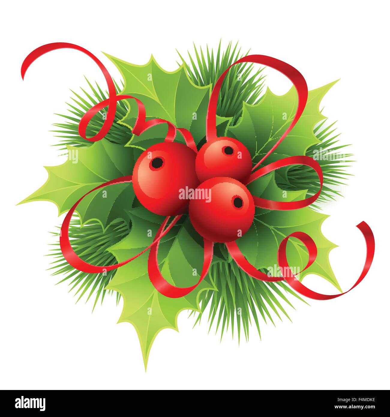 Vector Christmas holly with berries. Vector illustration Stock Vector ...