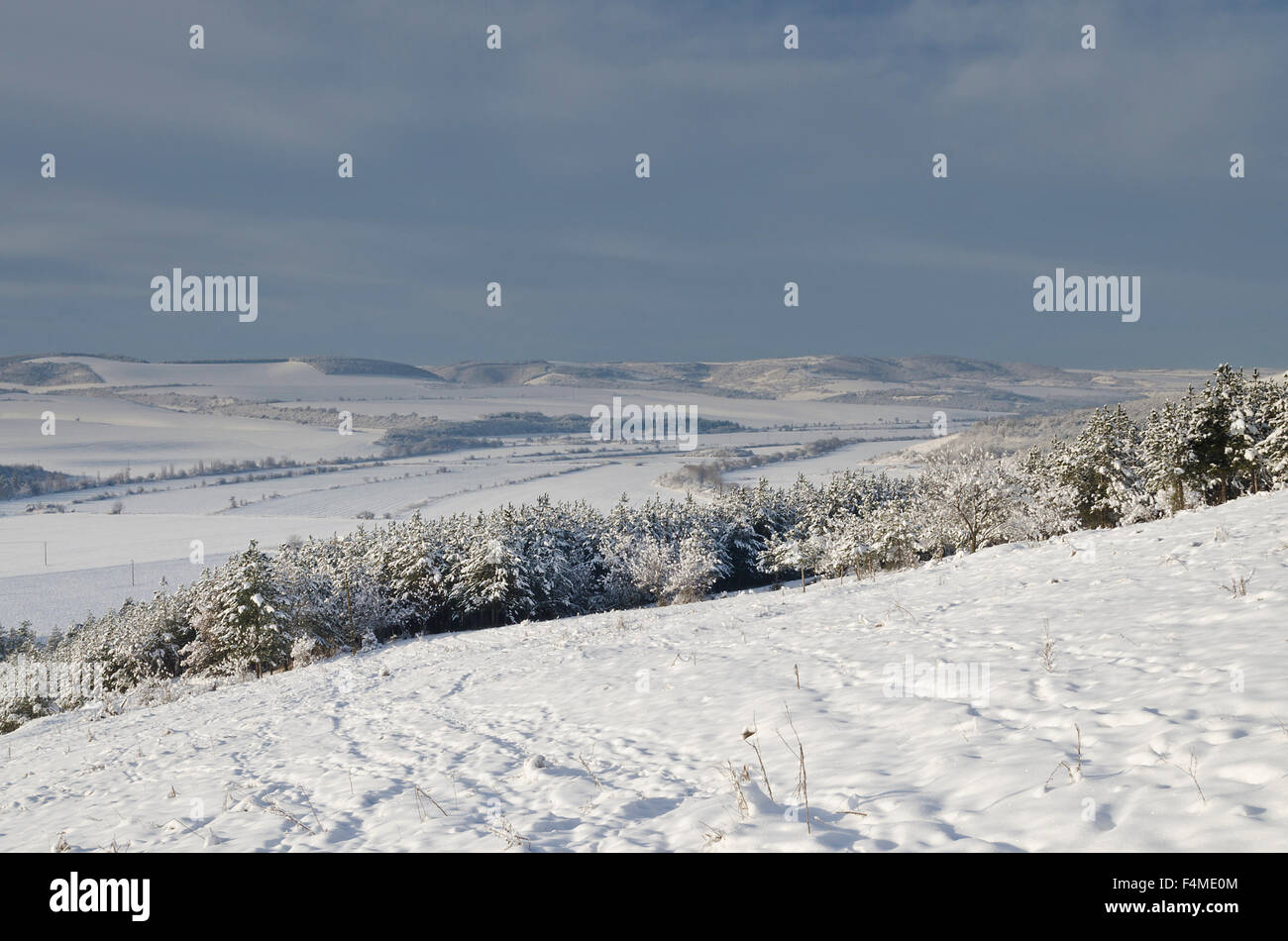 Winter tale in the fields of northern Bulgaria Stock Photo - Alamy