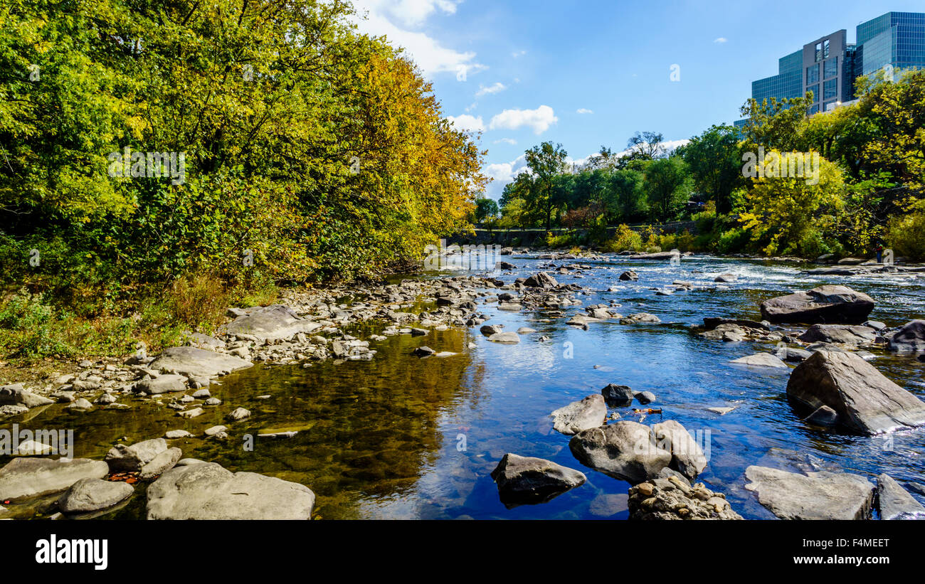 Beautiful trees and creek Stock Photo - Alamy