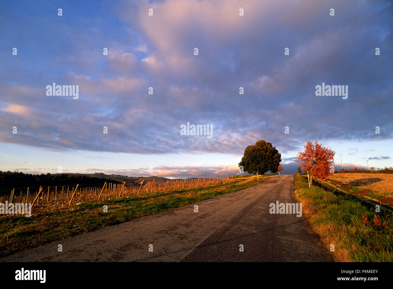 Chianti roads hi-res stock photography and images - Alamy