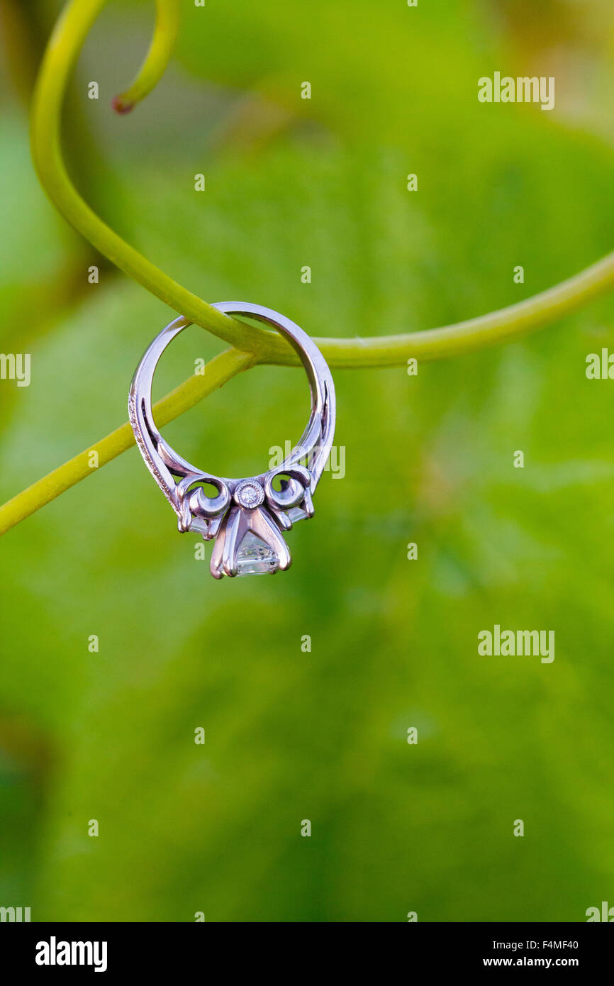 Wedding ring photographed outdoors in a vineyard at a ceremony and ...