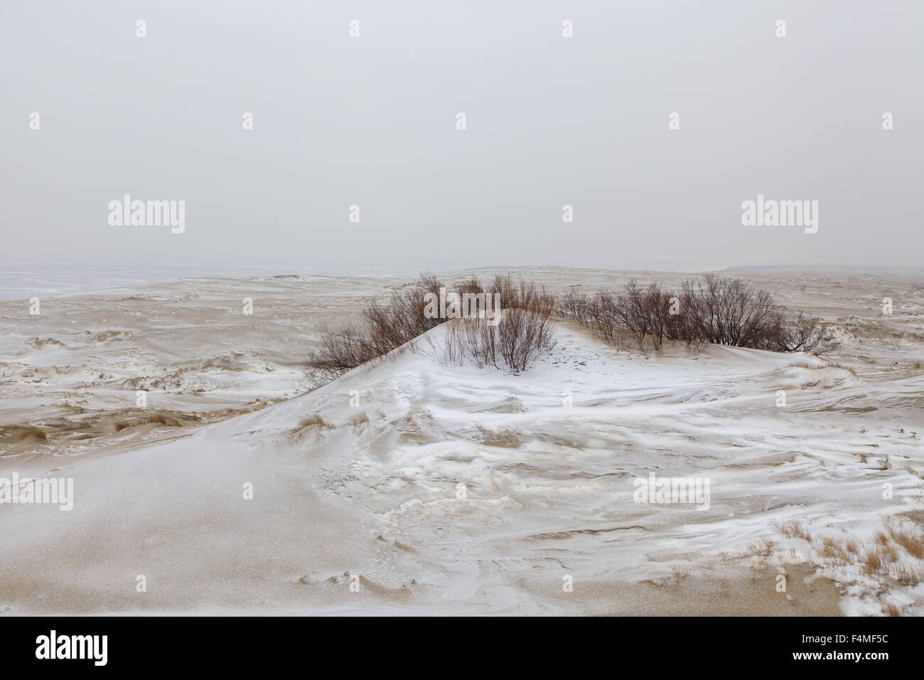 Snow covered sand dunes Stock Photo - Alamy
