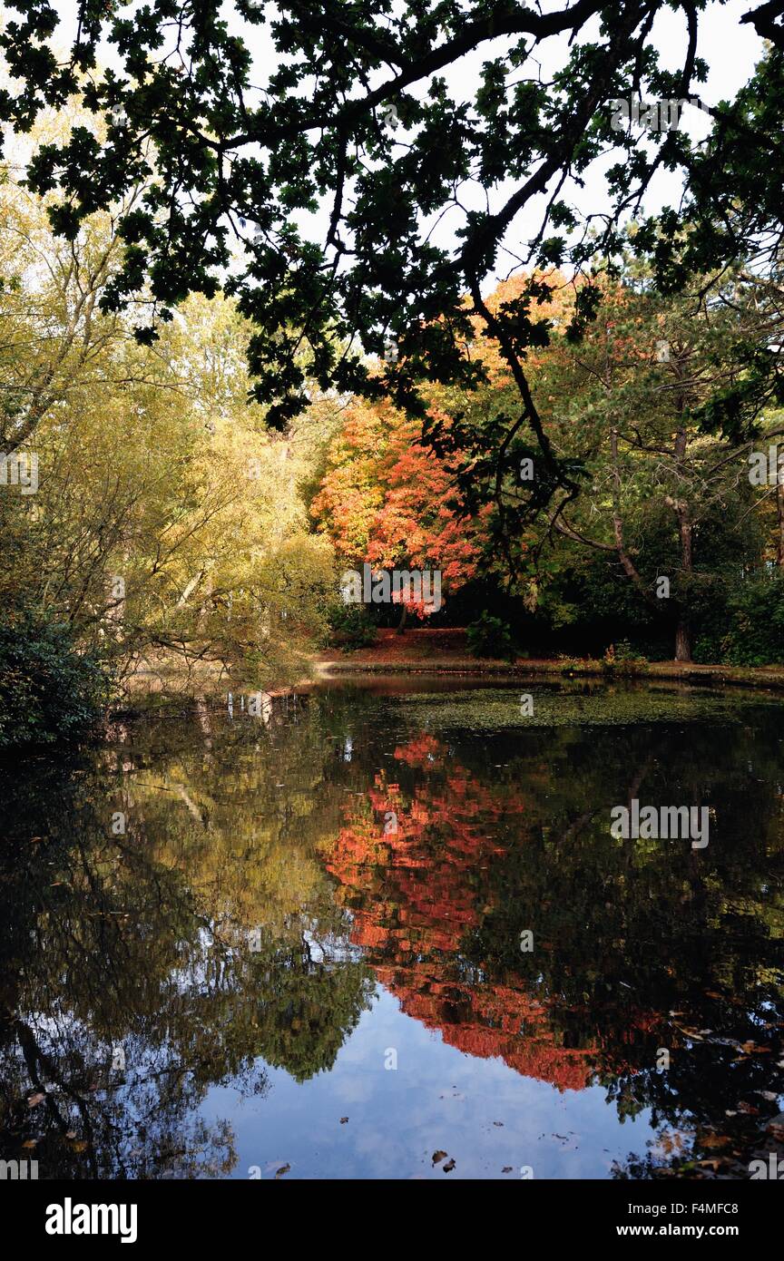 Glasgow, Scotland, UK. 20th Oct, 2015. The pond at Pollok Park, Glasgow ...
