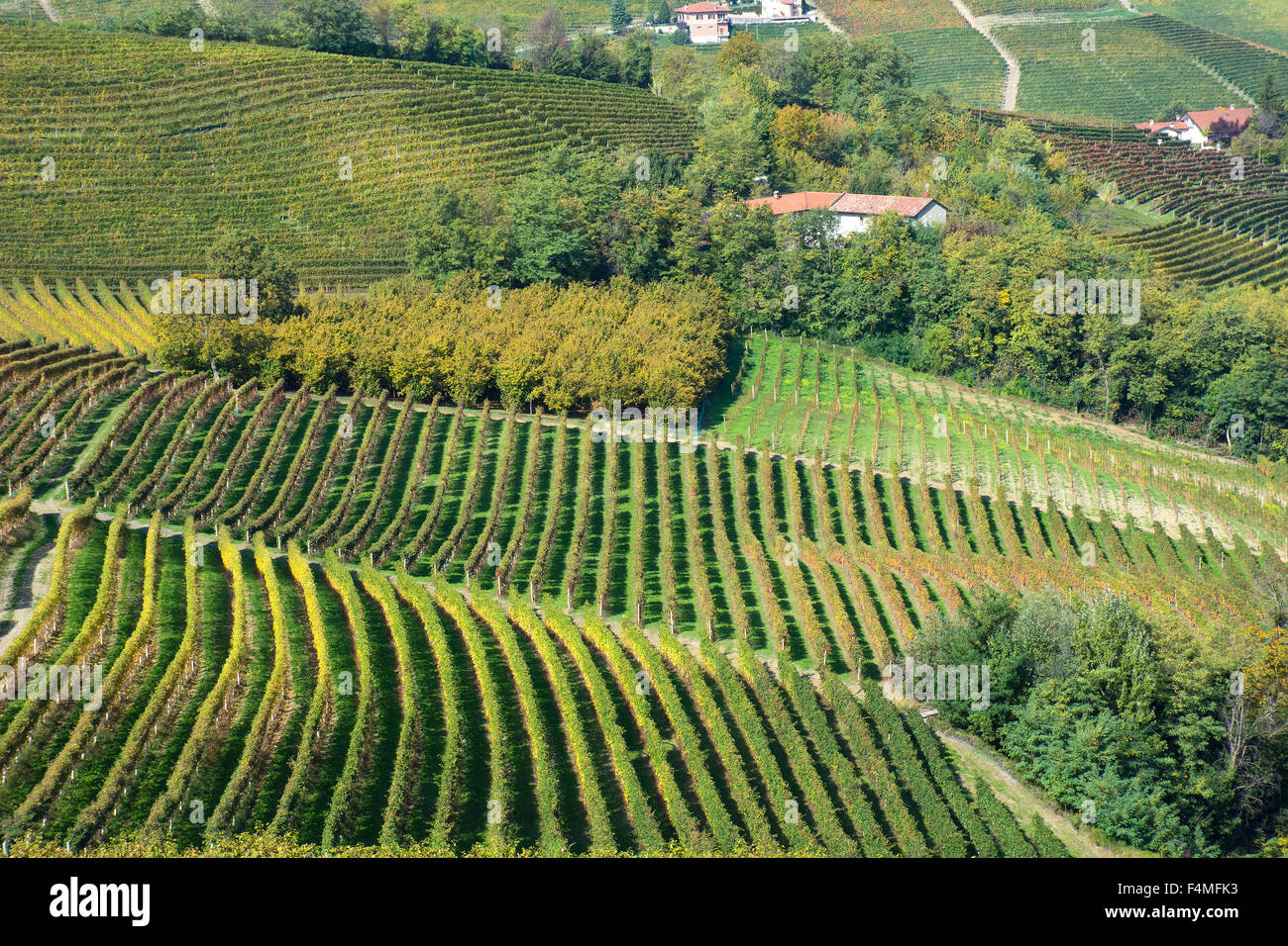 Piedmont, Italy, Langhe-Roero and Monferrato in the UNESCO World ...