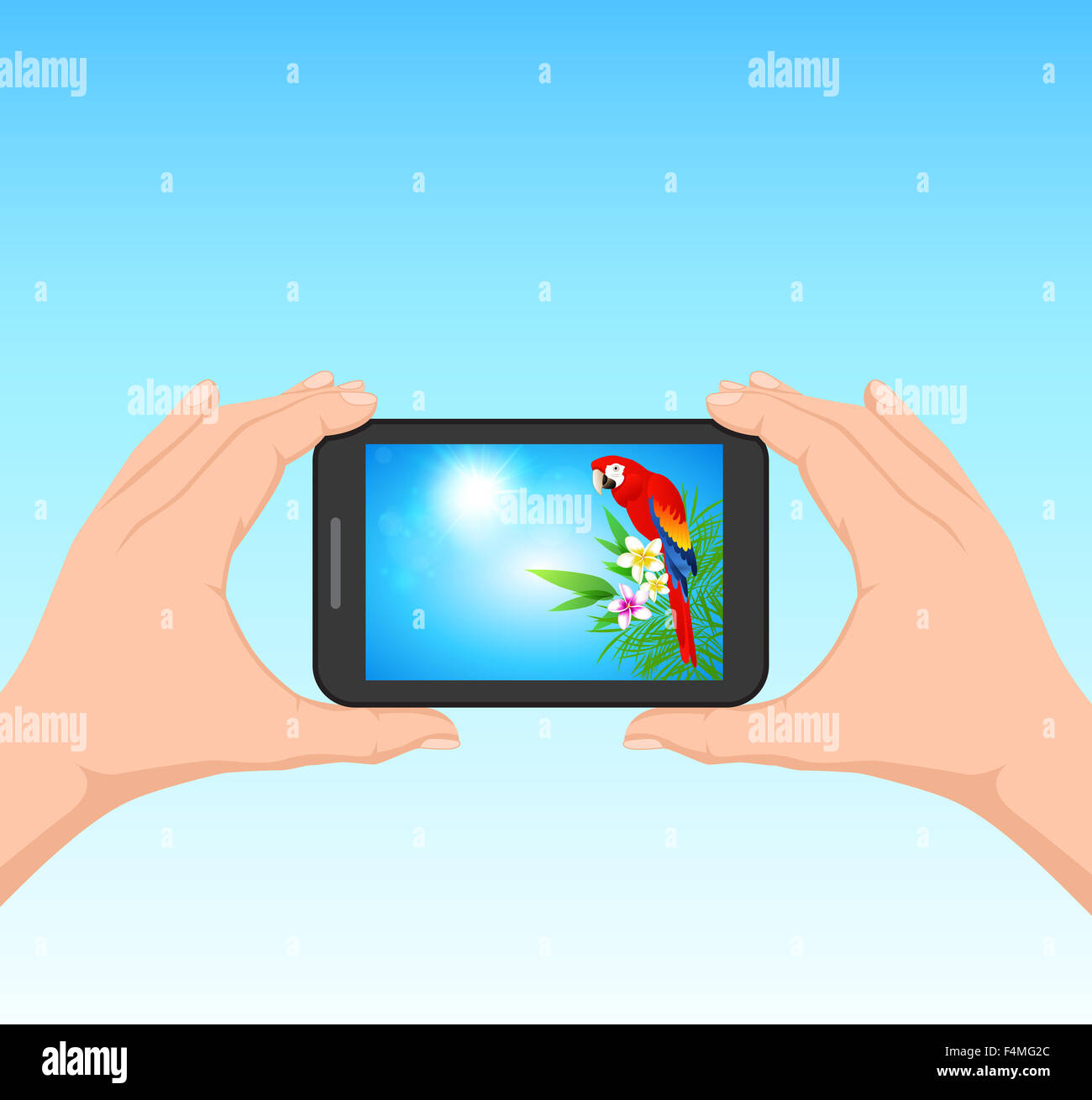 Man use mobile phone to take photo Stock Photo - Alamy