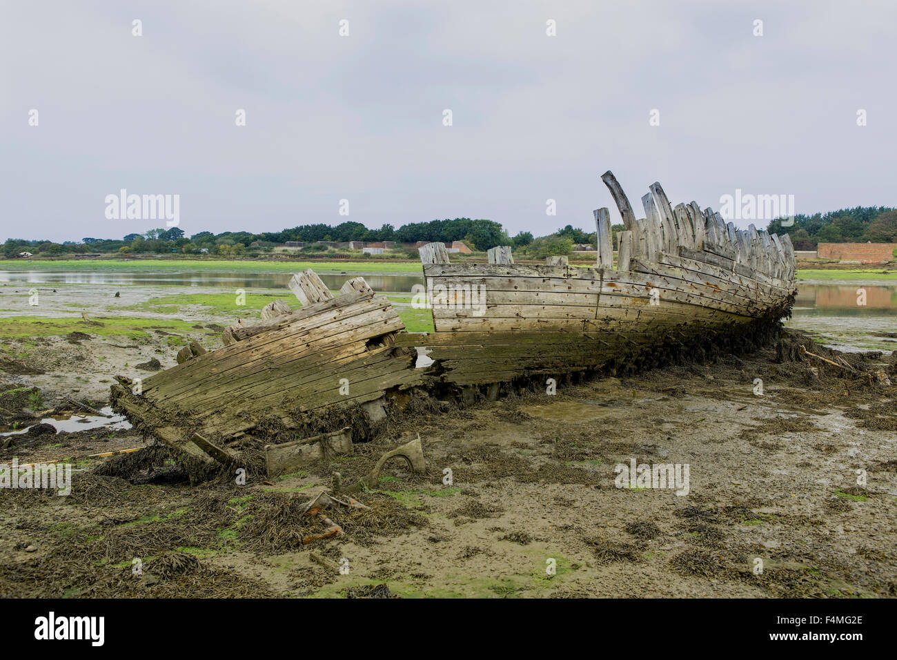 Wooden ship skeleton. Rotting hull of a substantial wooden boat. Rivets ...