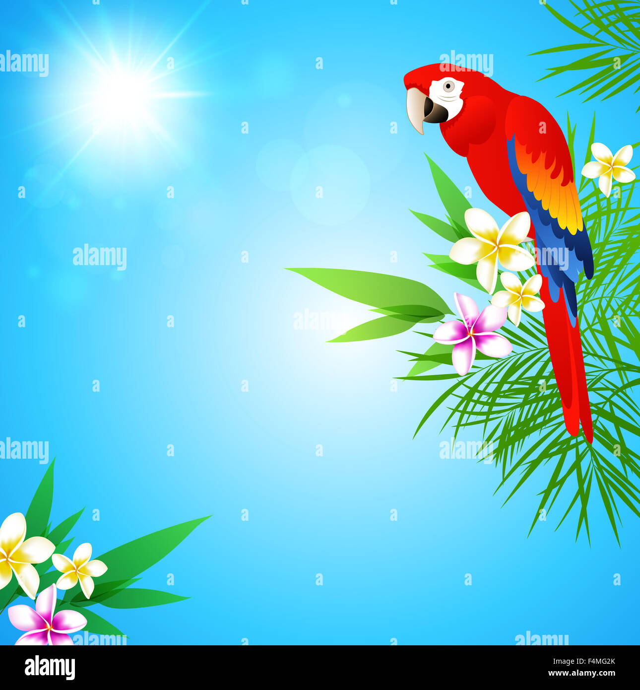 Summer tropical background with red parrot Stock Photo - Alamy