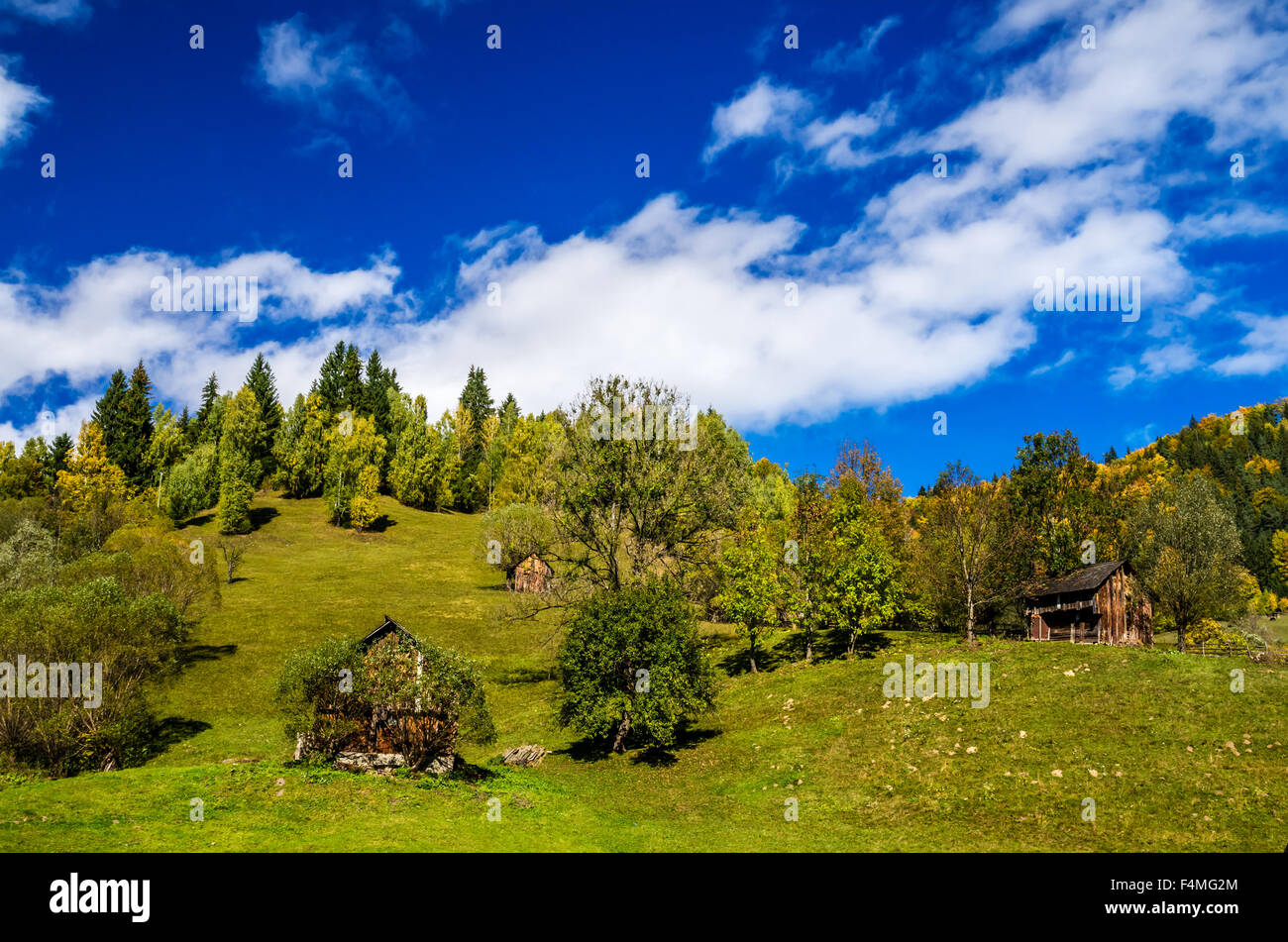 Fall colors around a cottage house. Autumn landscape in mountains with ...