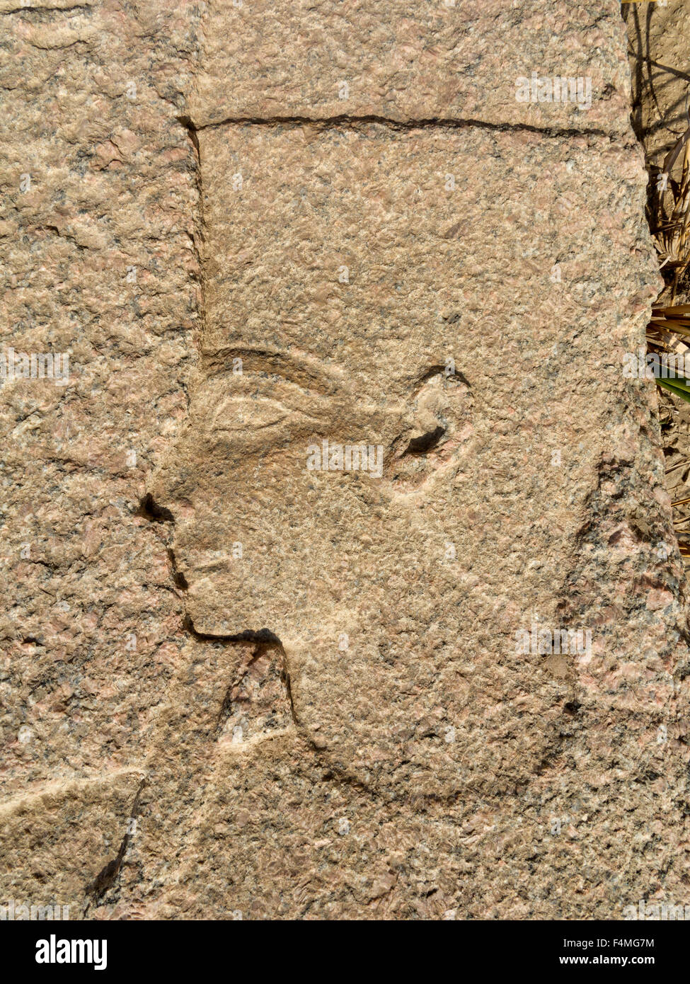 Ancient egyptian cat cemetery hi-res stock photography and images - Alamy