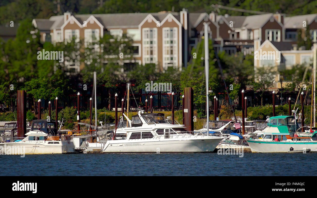 Boats in Portland, Oregon Marina on the Willamette River Stock Photo ...