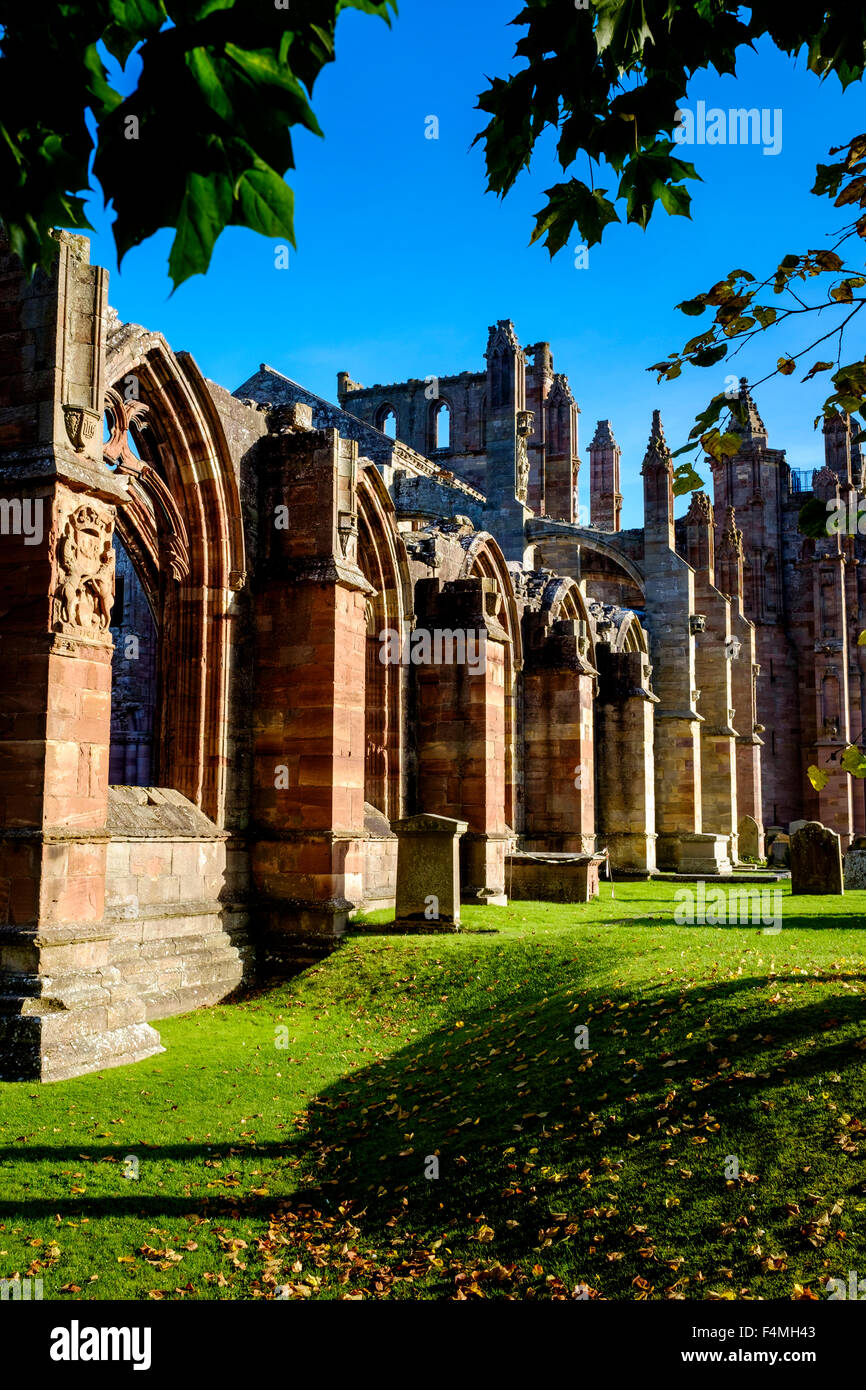 King melrose hi-res stock photography and images - Alamy