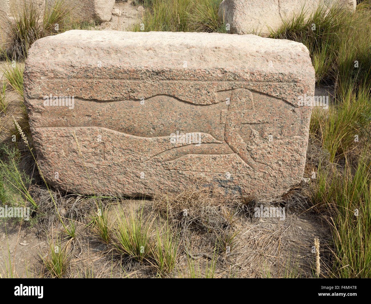 The site of ancient Bast, Tell Basta, classical Bubastis southeast of ...