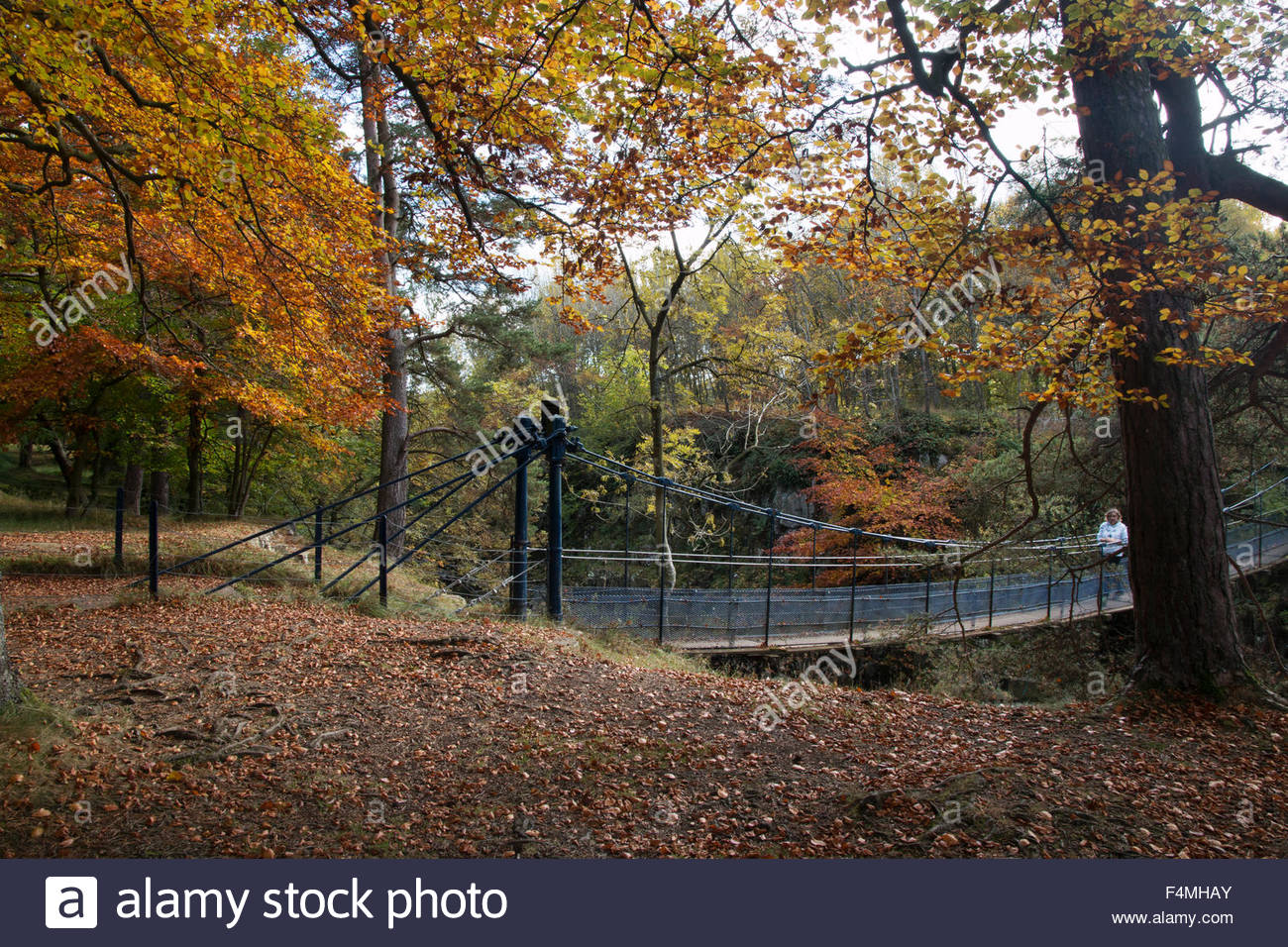 Teesdale Bridge Stock Photos & Teesdale Bridge Stock Images - Alamy