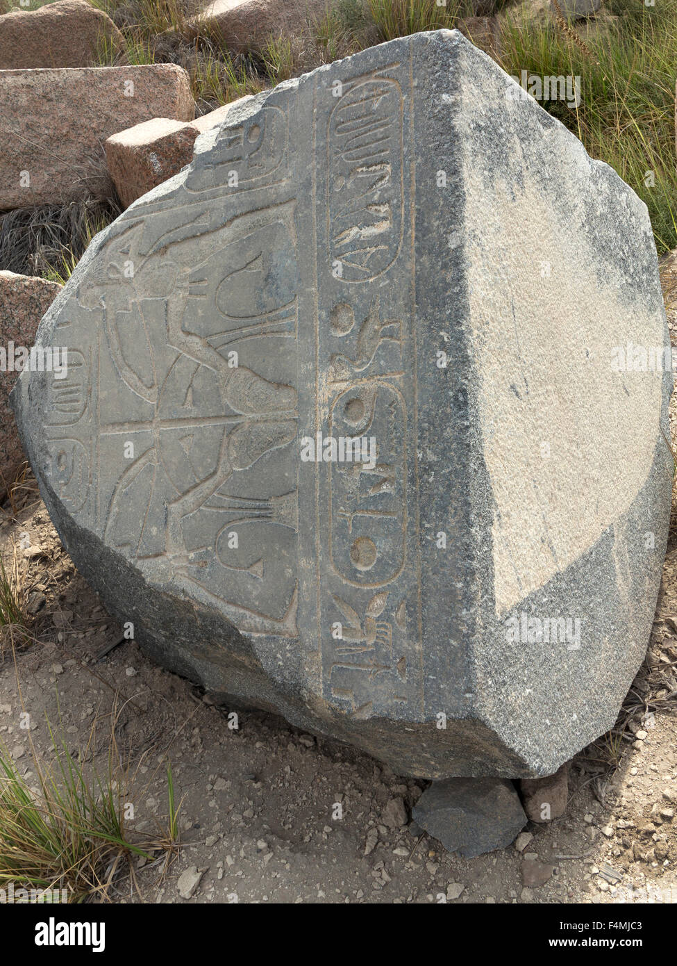 Ancient egyptian cat cemetery hi-res stock photography and images - Alamy