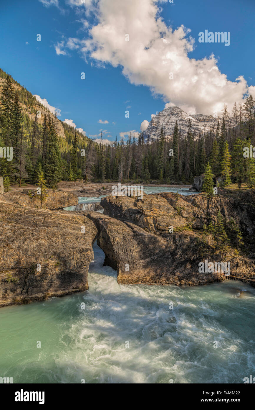 Glacier fed Kicking Horse River in Yoho National Park, British Columbia ...