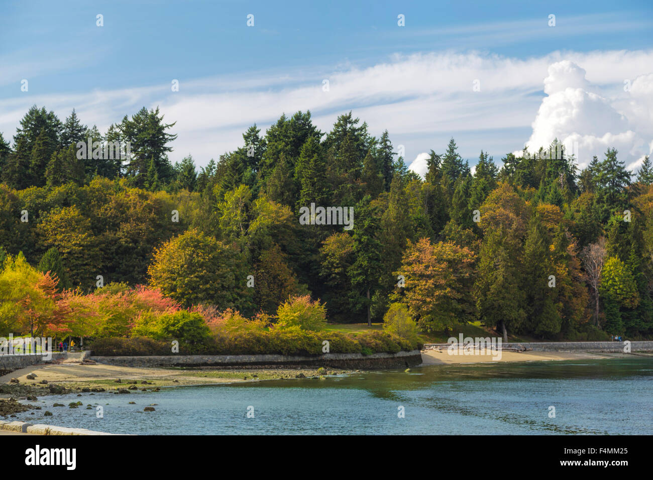 Early fall foliage in Stanley Park on Burrard Inlet, Vancouver,British ...