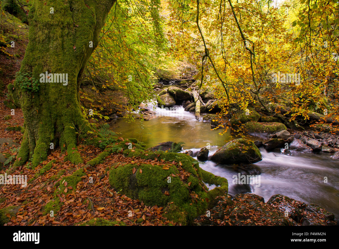 The Birks of Aberfeldy Perthshire Stock Photo - Alamy