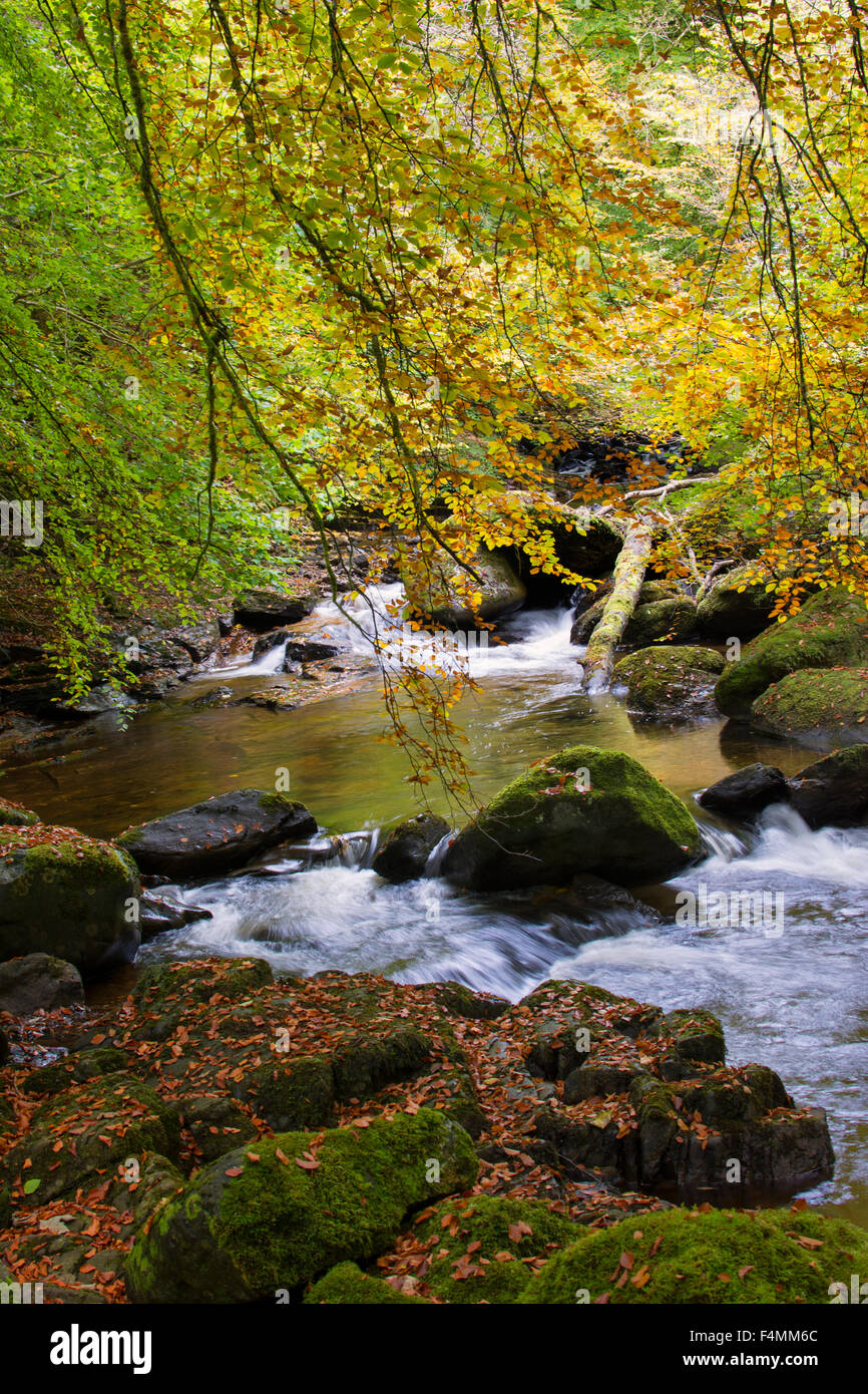 The Birks of Aberfeldy Perthshire Stock Photo - Alamy