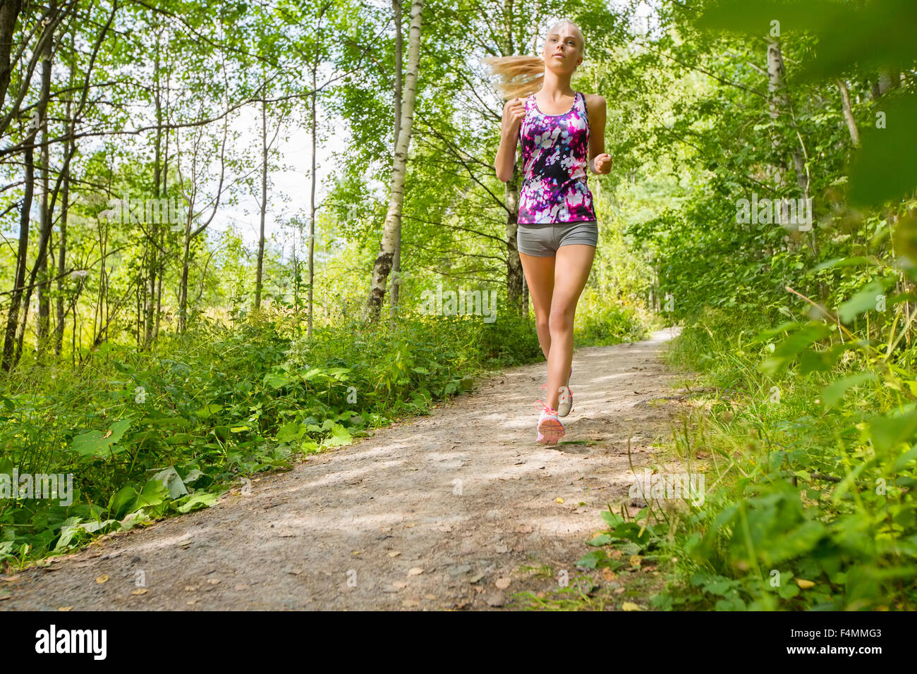 Well trained hi-res stock photography and images - Alamy