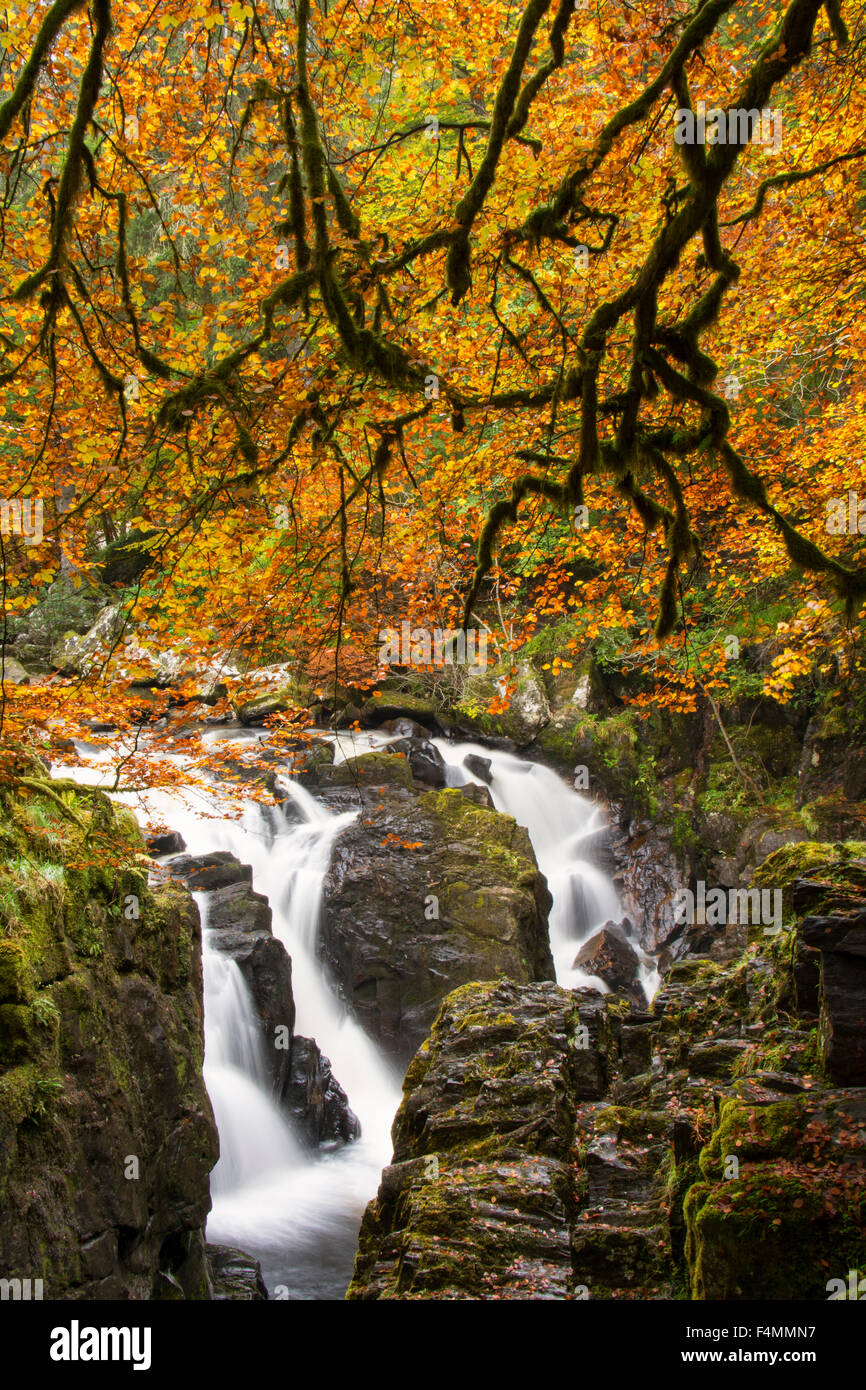 Black Linn Waterfall River Braan Stock Photo - Alamy