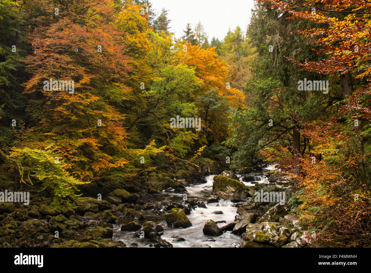 Black Linn Waterfall River Braan Stock Photo - Alamy
