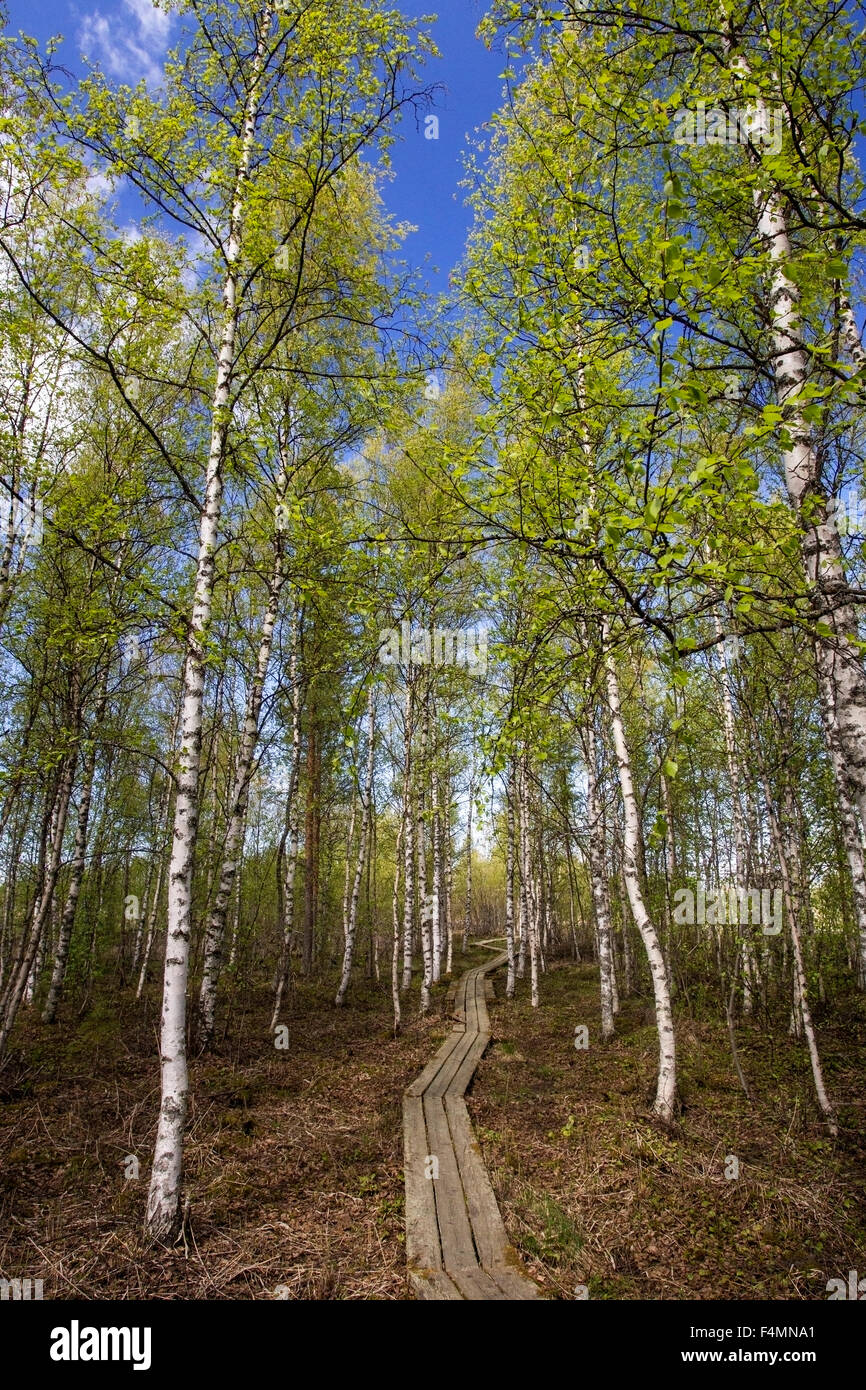 Liminka bay hi-res stock photography and images - Alamy