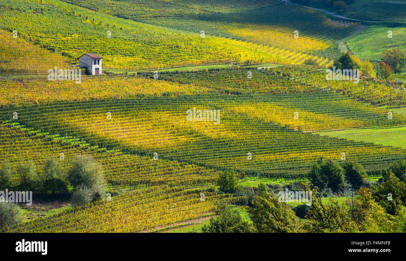 Piedmont, Italy, Langhe-Roero and Monferrato in the UNESCO World ...