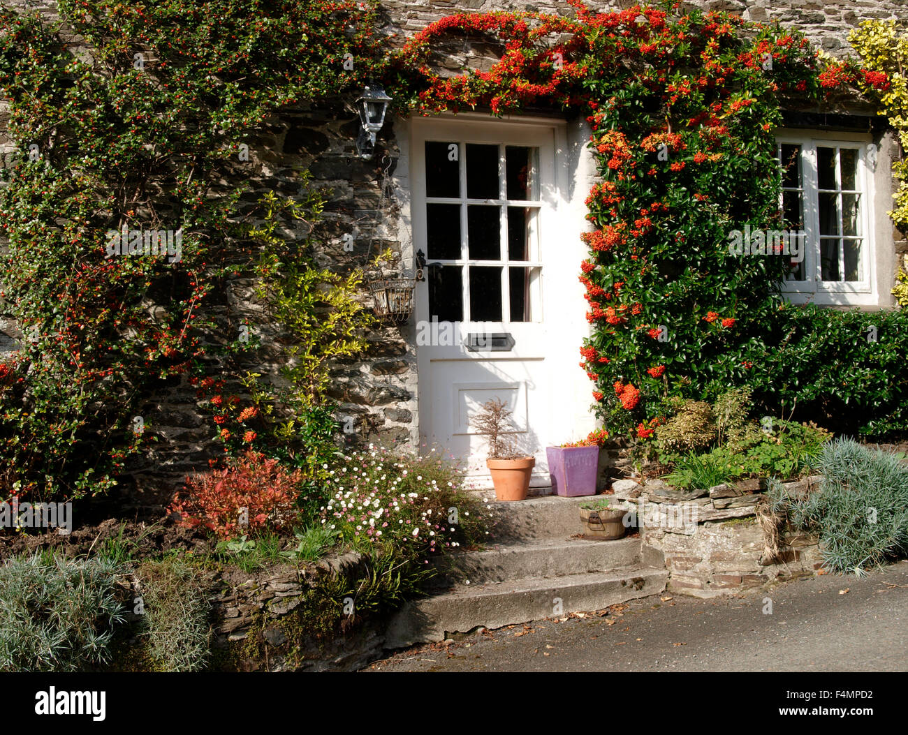 Shrubs growing around red hi-res stock photography and images - Alamy