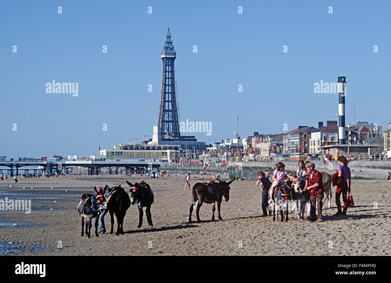 Blackpool donkeys, Blackpool beach, British seaside town, summer ...