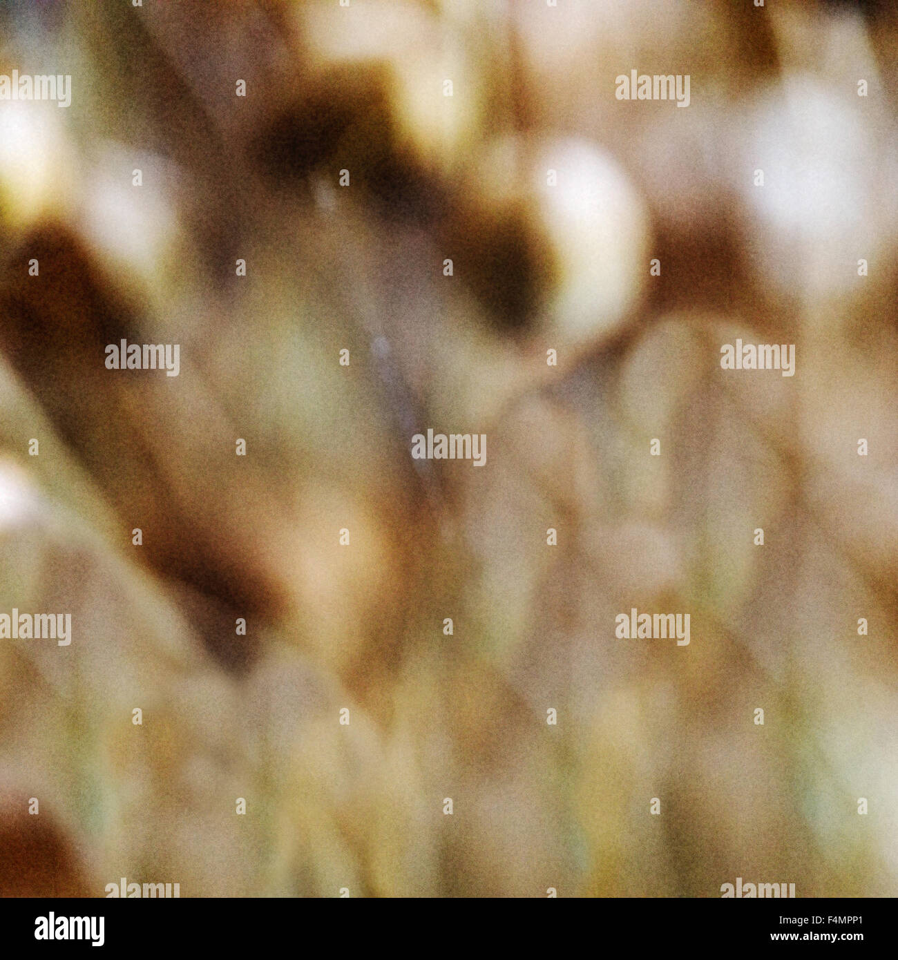 blurry unfocused background Stock Photo - Alamy