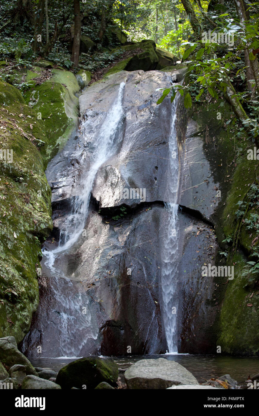 Kinabalu Park Waterfall / Stream Stock Photo - Alamy