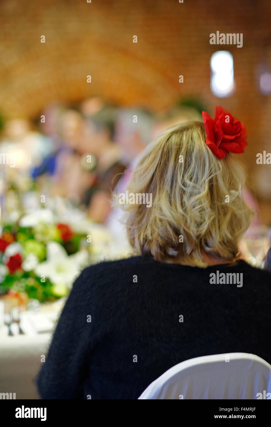 Formal dinner party hi-res stock photography and images - Alamy