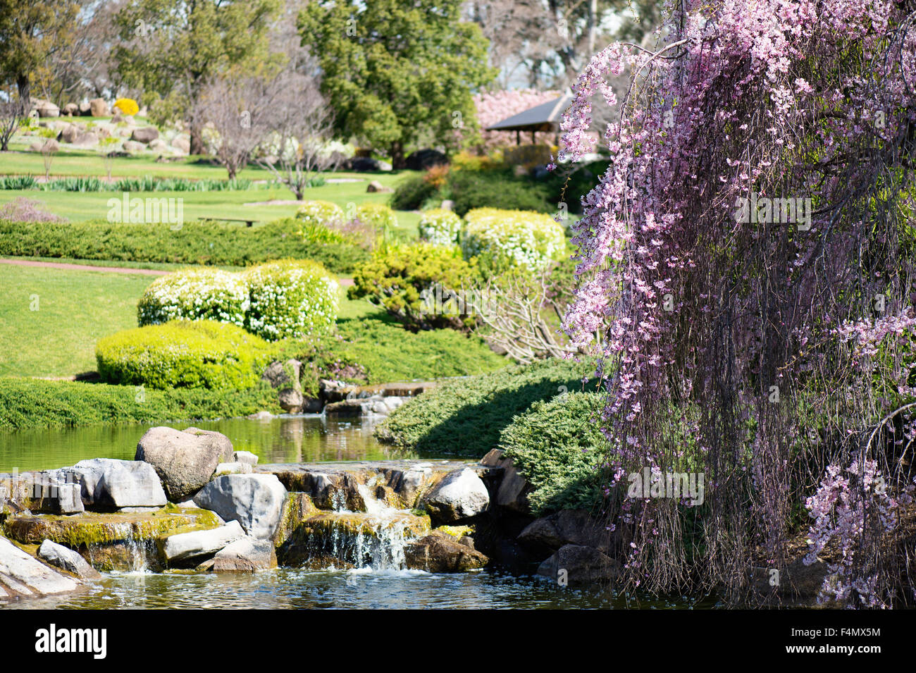 Tree overhangs garden hi-res stock photography and images - Alamy