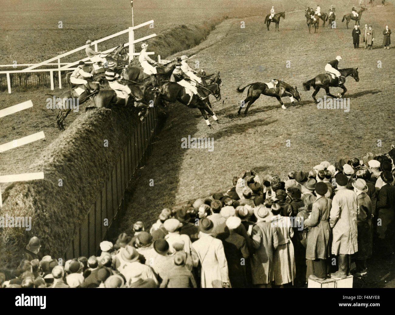 Race horses with hedges hi-res stock photography and images - Alamy
