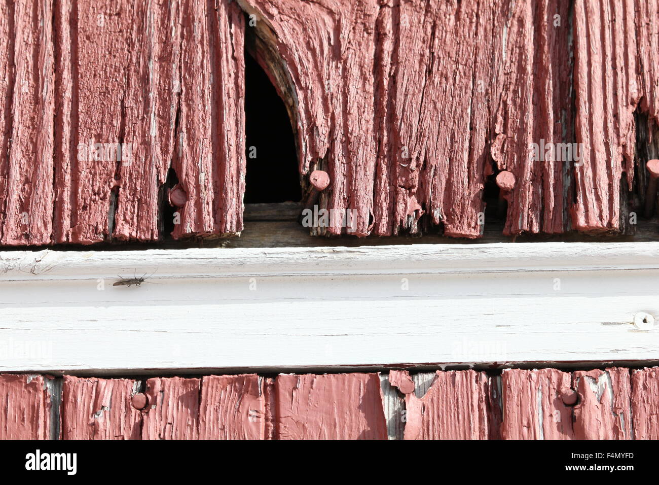 Red barn and white trim hi-res stock photography and images - Alamy