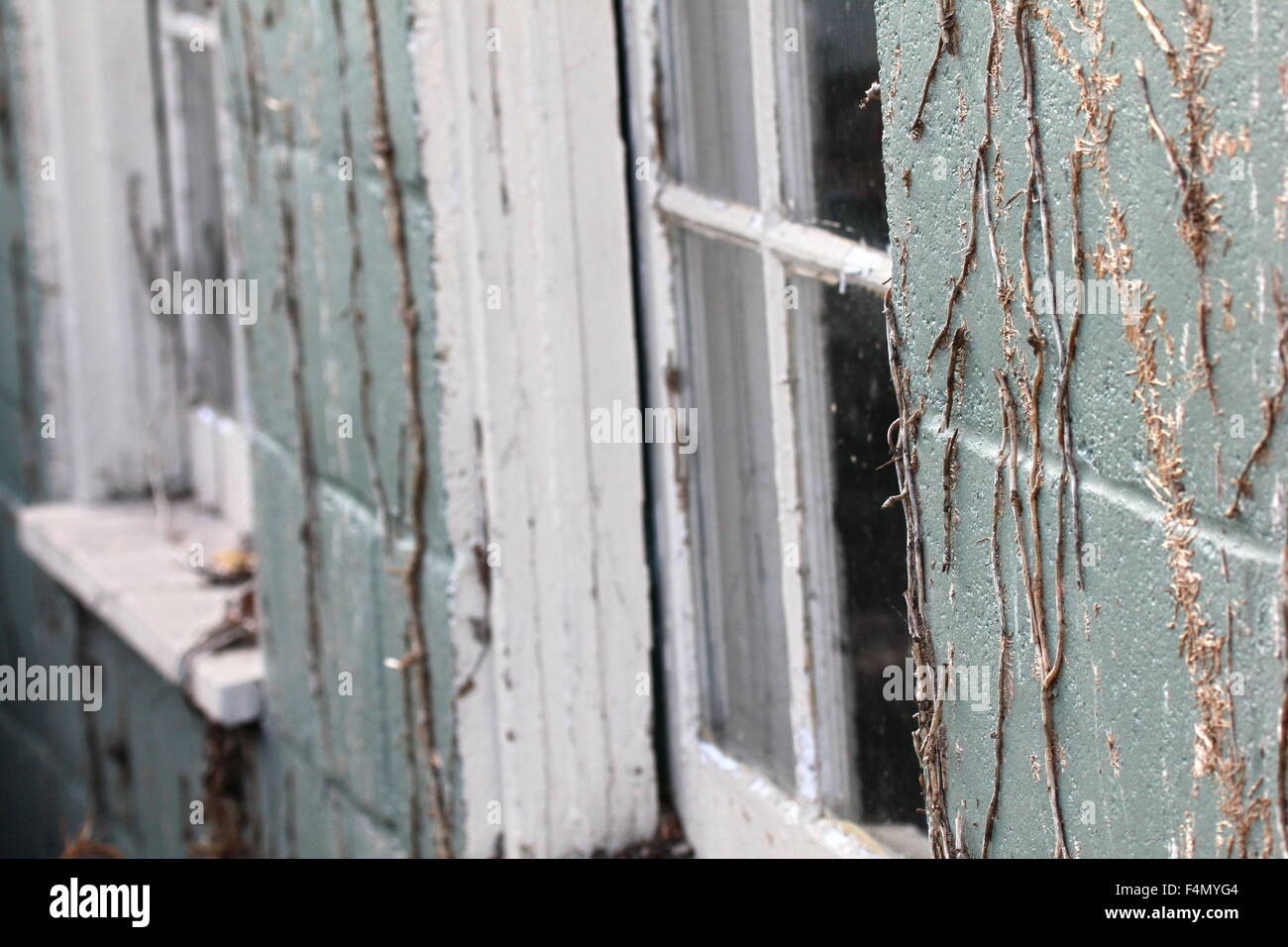 Window gray block wall hi-res stock photography and images - Alamy