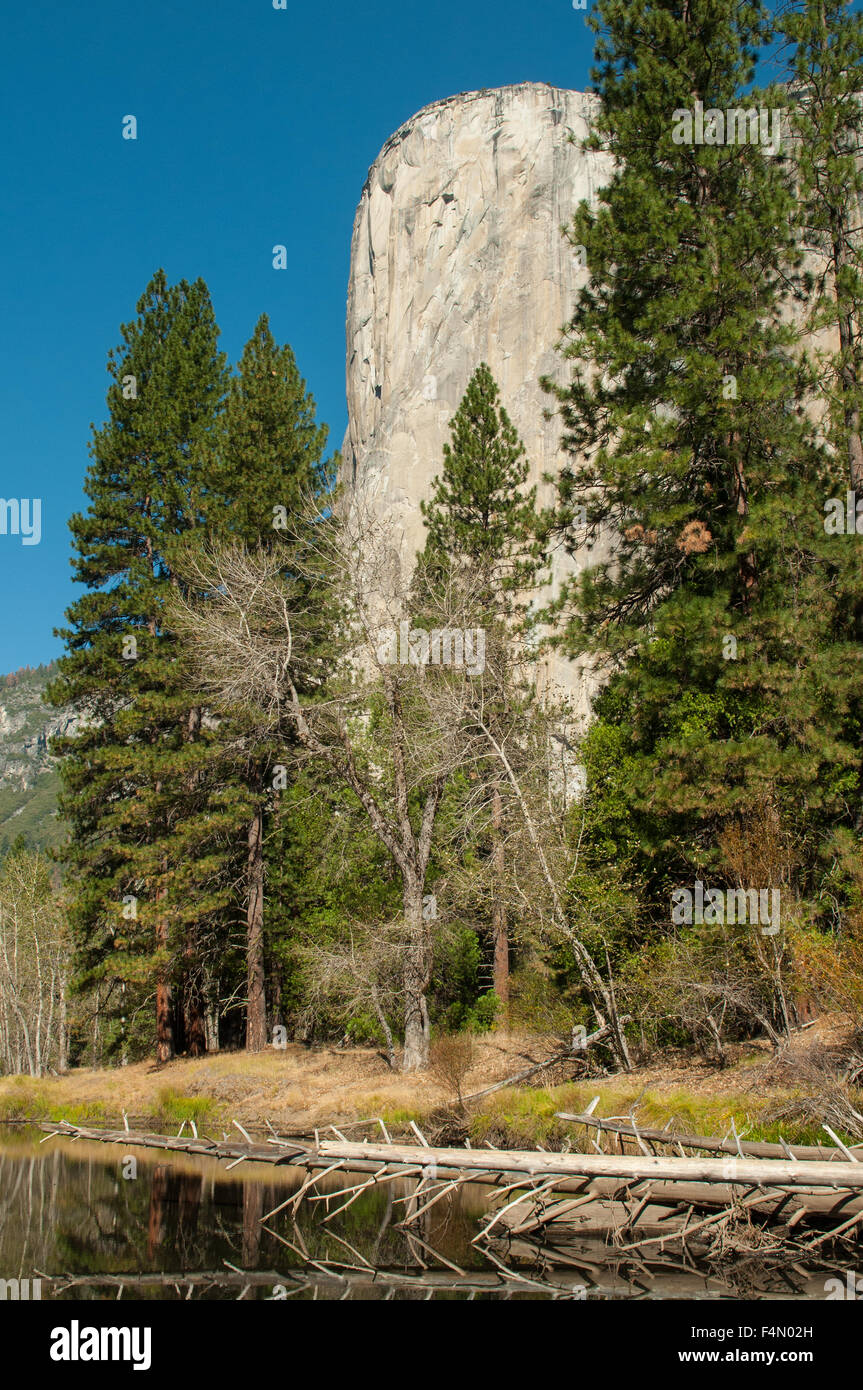 El Capitan from Sentinel Beach, Yosemite NP, California, USA Stock ...