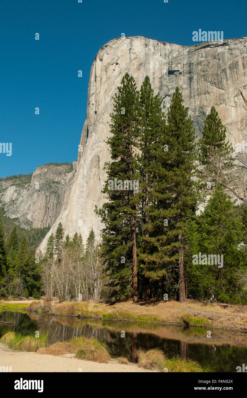 El Capitan from Sentinel Beach, Yosemite NP, California, USA Stock ...