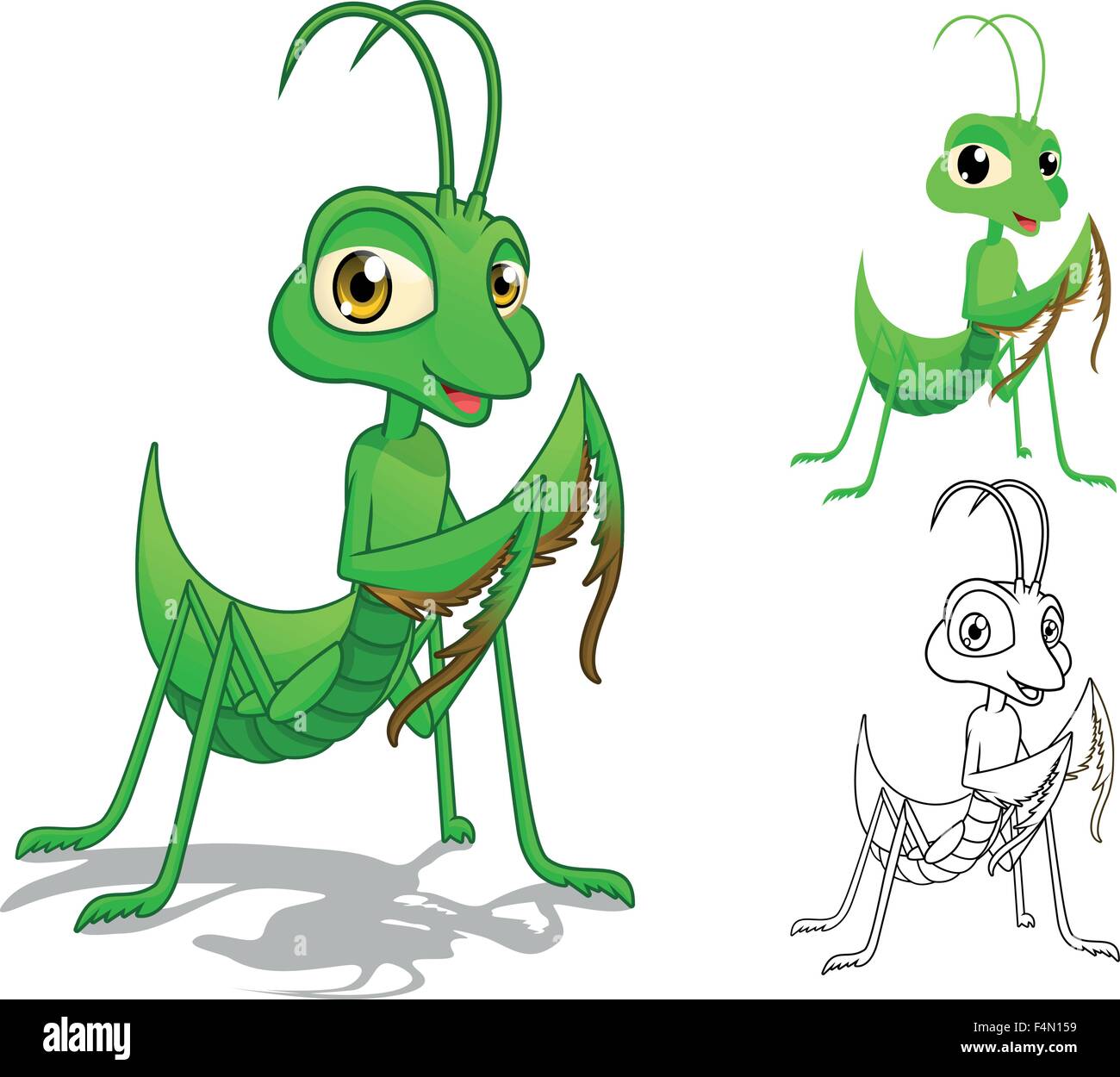 Praying mantis smiling Stock Vector Images - Alamy